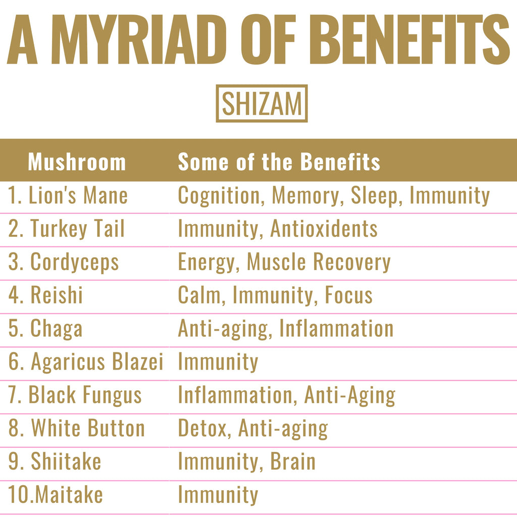 cordyceps for energy and vitality