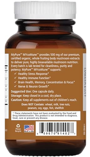 Cordyceps for energy boost