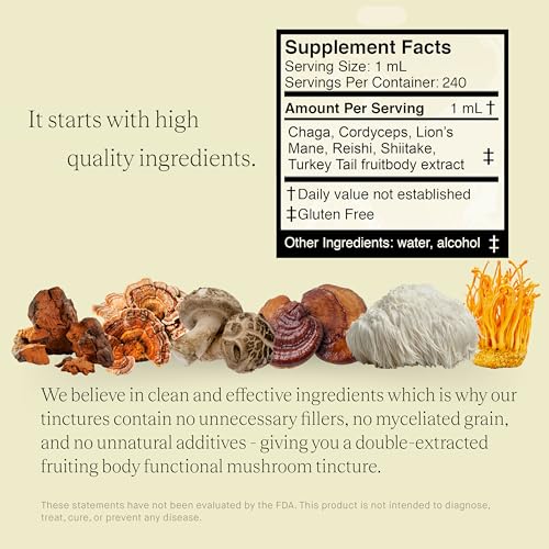 Cordyceps for energy boost