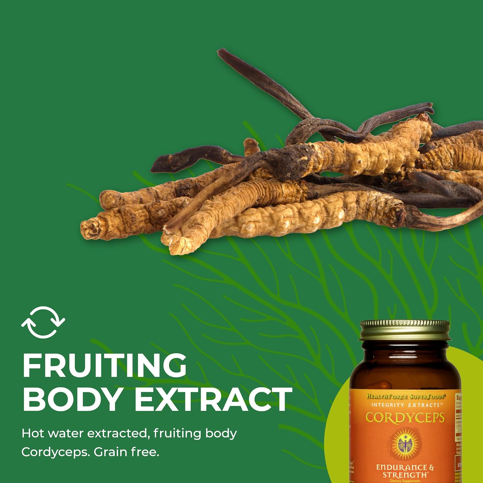 Cordyceps for enhanced athletic performance
