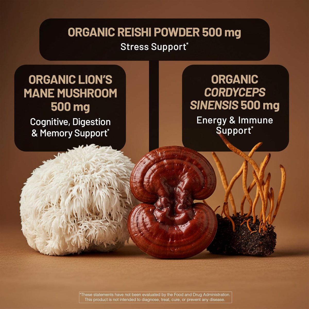Cordyceps for enhanced athletic performance