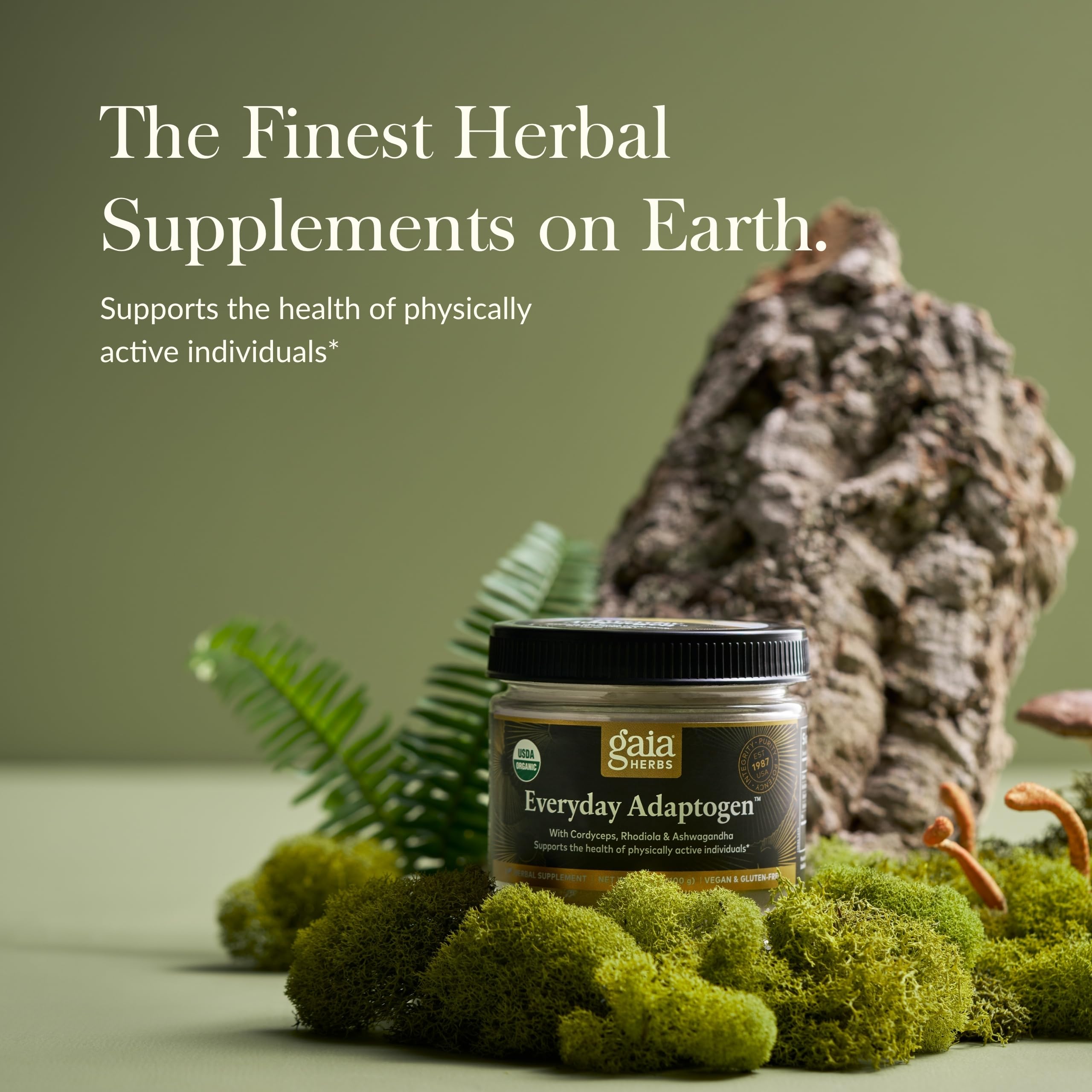 Cordyceps for enhanced energy levels