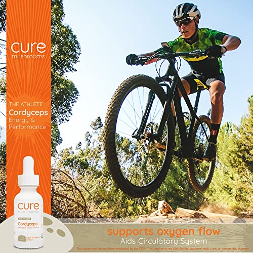 cordyceps for enhanced physical performance
