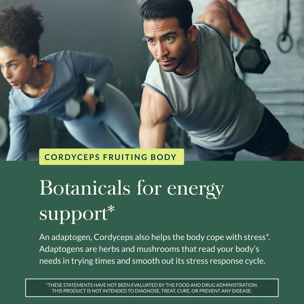 Cordyceps for enhanced physical performance