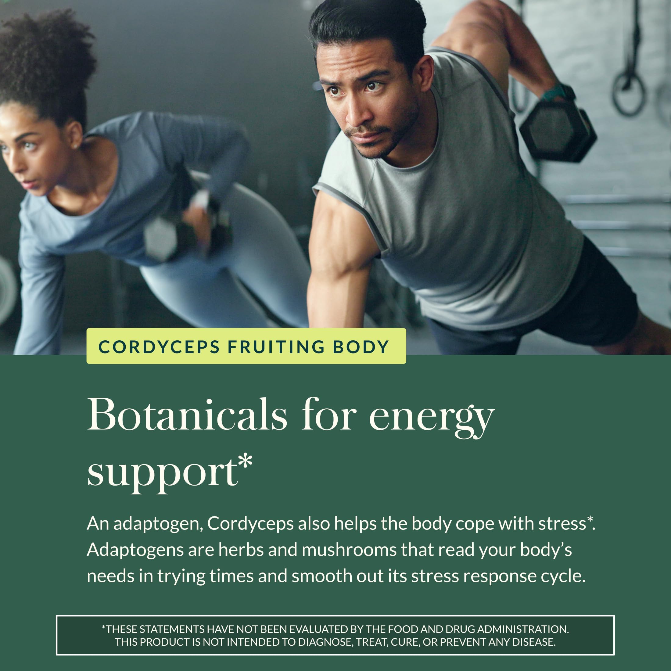 Cordyceps for enhanced physical performance