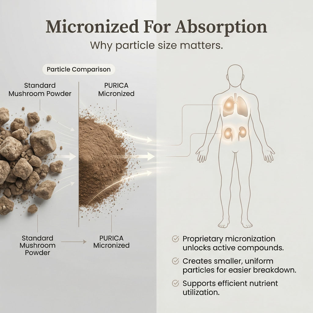 Cordyceps for improved athletic performance