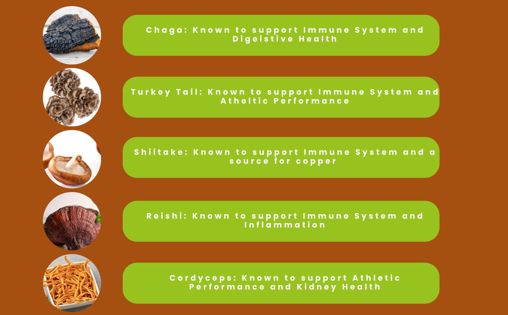 Cordyceps for improved athletic performance