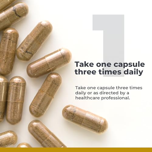 cordyceps for improved athletic performance