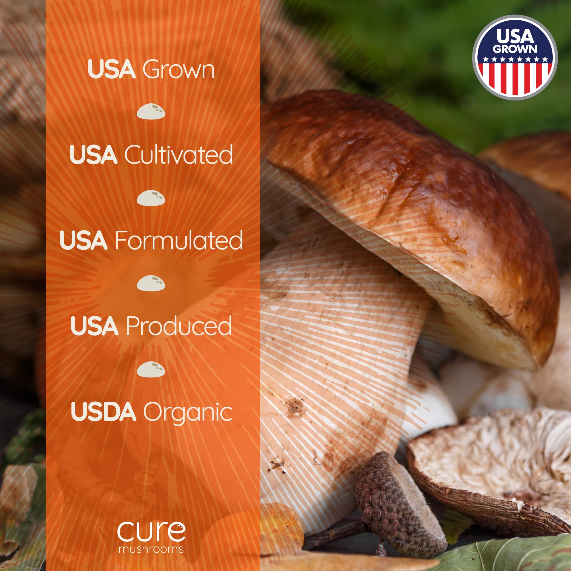 cordyceps for improved endurance
