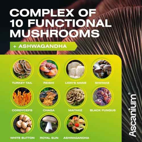 Cordyceps for increased energy levels