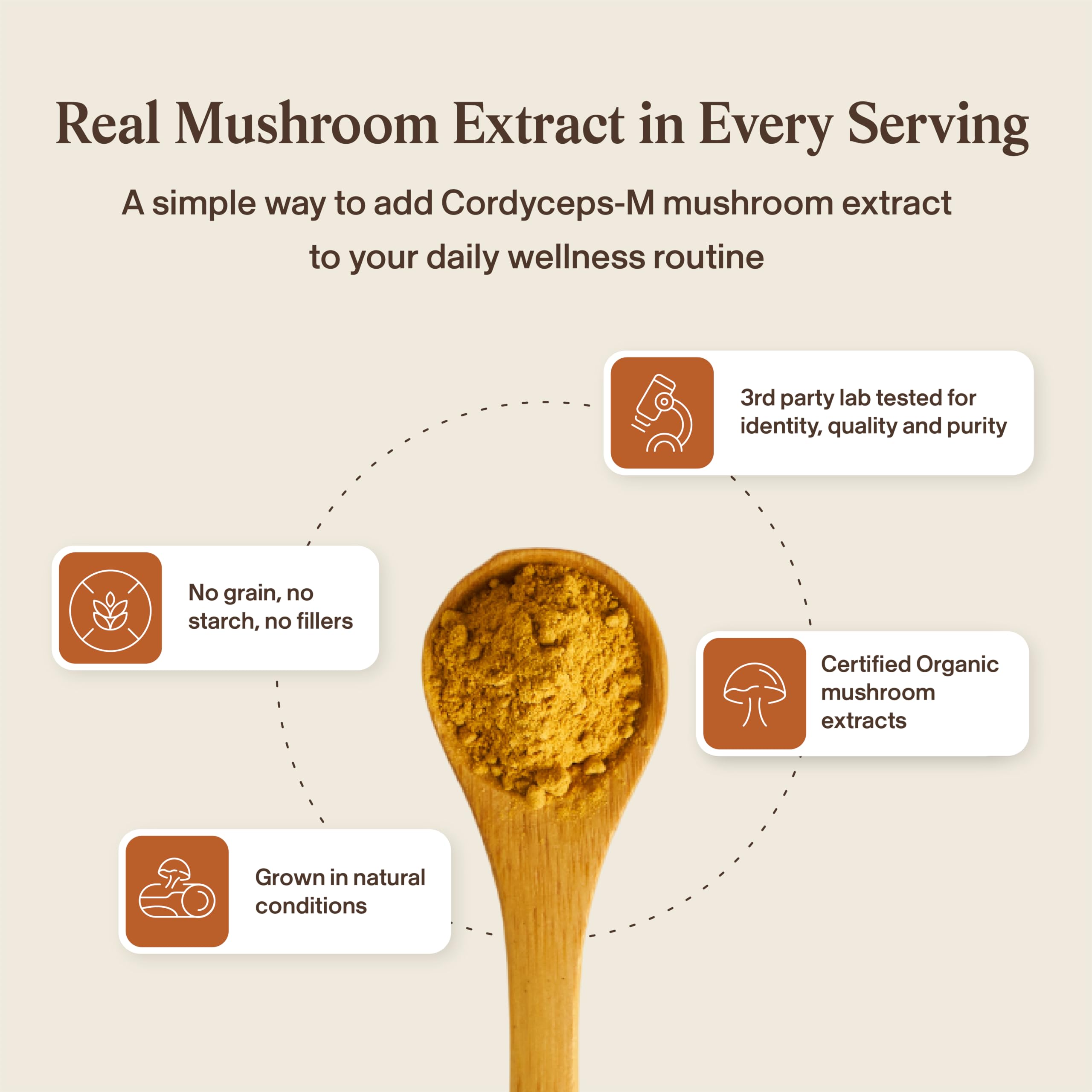 Cordyceps for mental clarity and focus