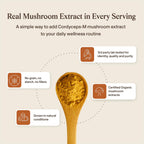 cordyceps for mental clarity
