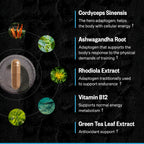 cordyceps for overall wellness and vitality