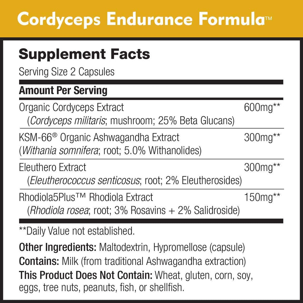 cordyceps formula for daily energy
