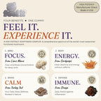 Cordyceps gummies for energy boost