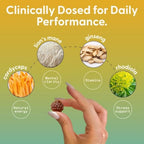 Cordyceps gummies for natural energy