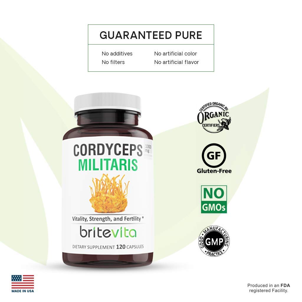 Cordyceps Militaris capsules for vitality
