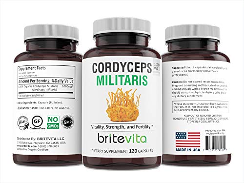 Cordyceps Militaris dietary support capsules
