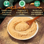 Cordyceps militaris for immune support