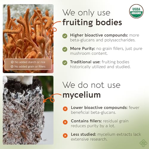 cordyceps militaris health benefits