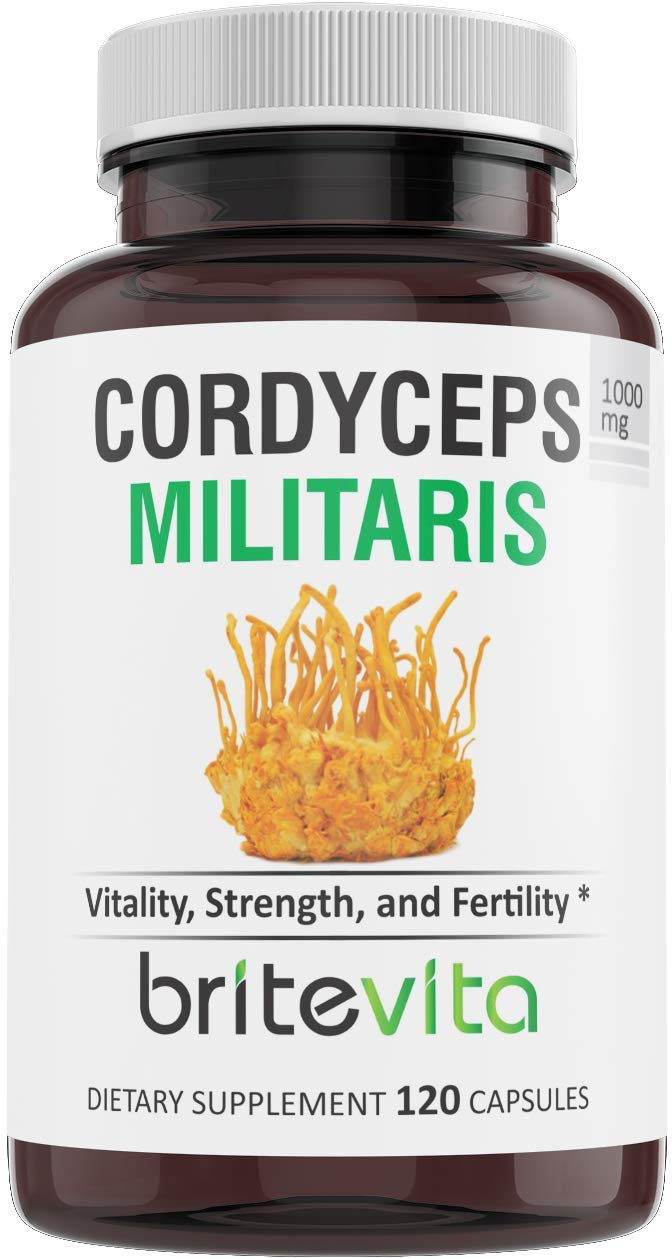 Cordyceps Militaris herbal supplements benefits