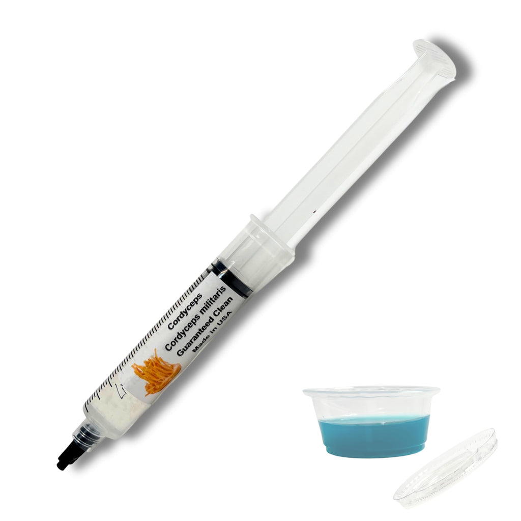 cordyceps militaris mushroom culture kit