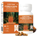 Cordyceps mushroom extract benefits