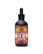cordyceps mushroom extract for energy