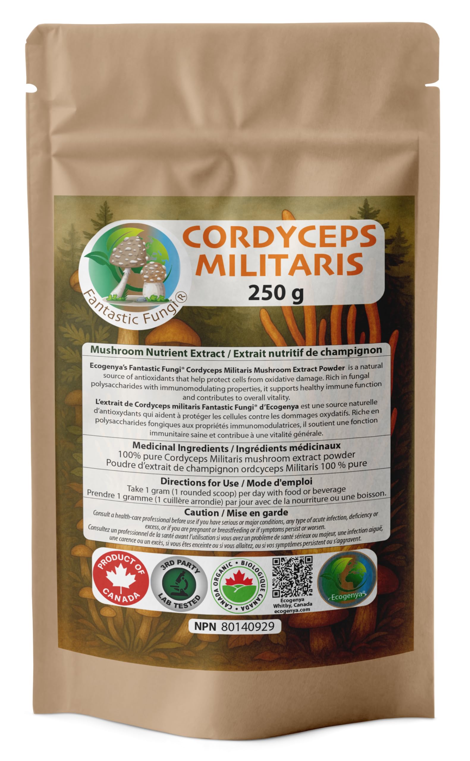 Cordyceps mushroom extract for energy