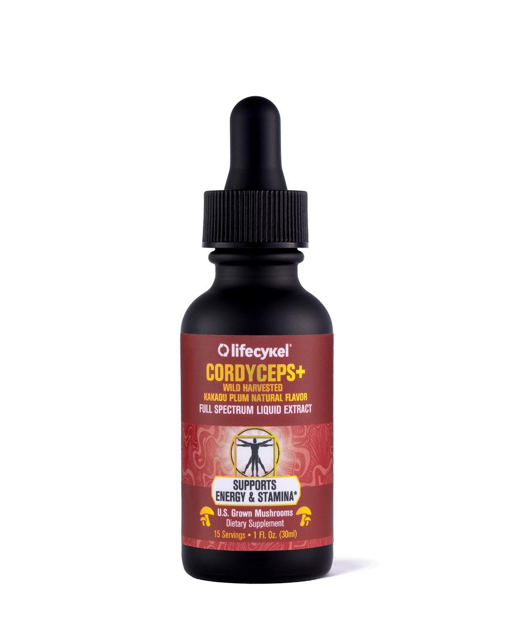 Cordyceps mushroom extract for energy