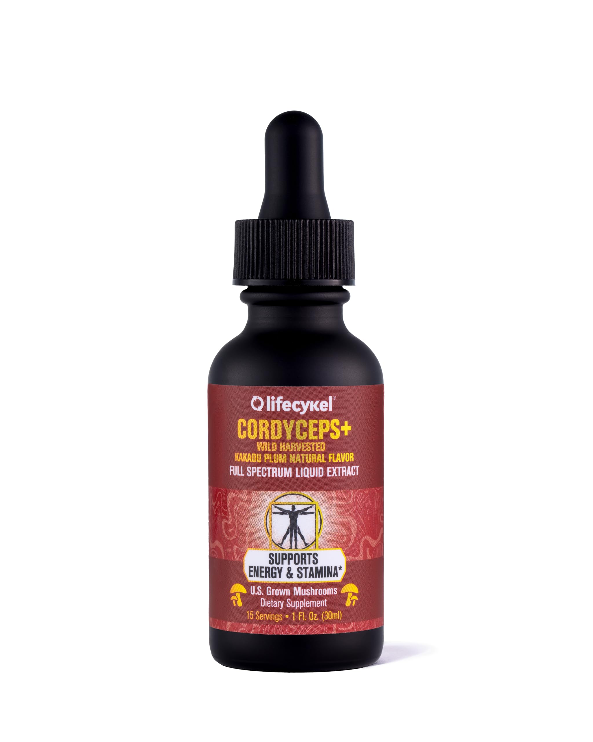 Cordyceps mushroom extract for energy