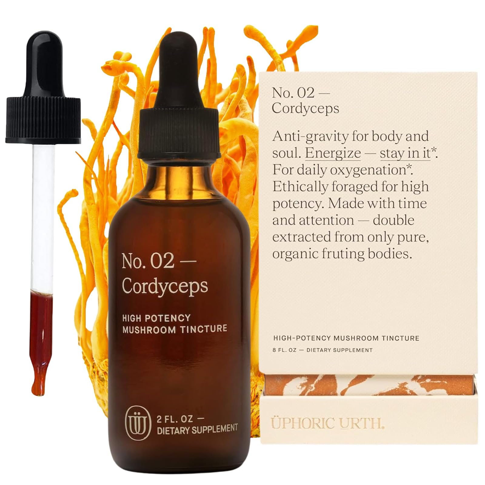 cordyceps mushroom extract for energy