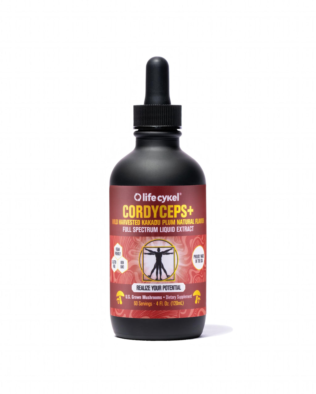 Cordyceps mushroom extract for energy