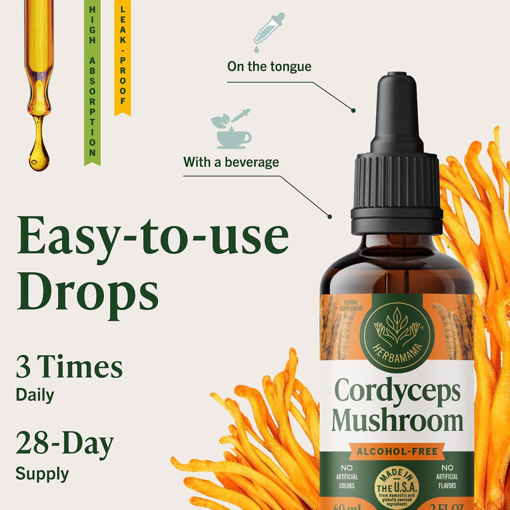 Cordyceps mushroom extract for immune support