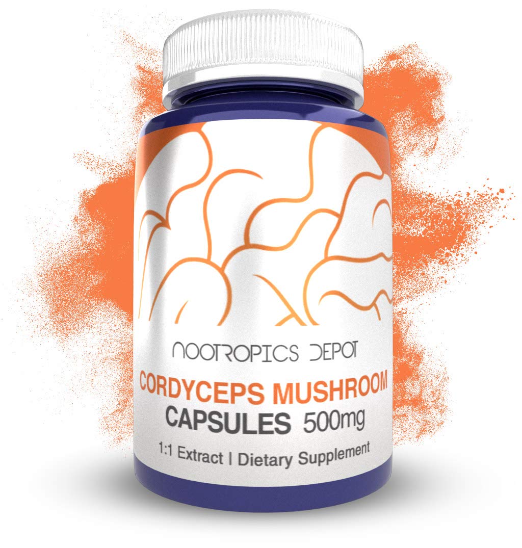 cordyceps mushroom health benefits