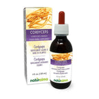 cordyceps mushroom tincture for energy