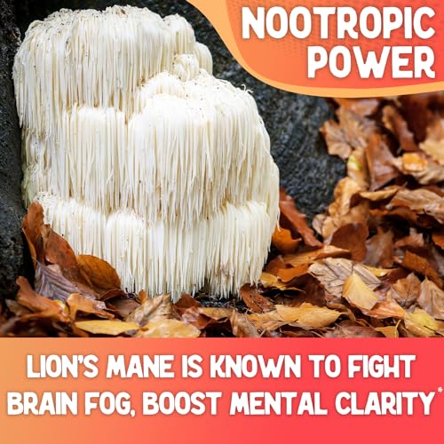 Cordyceps mushrooms boost endurance