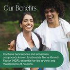 Cordyceps mushrooms for athletic performance