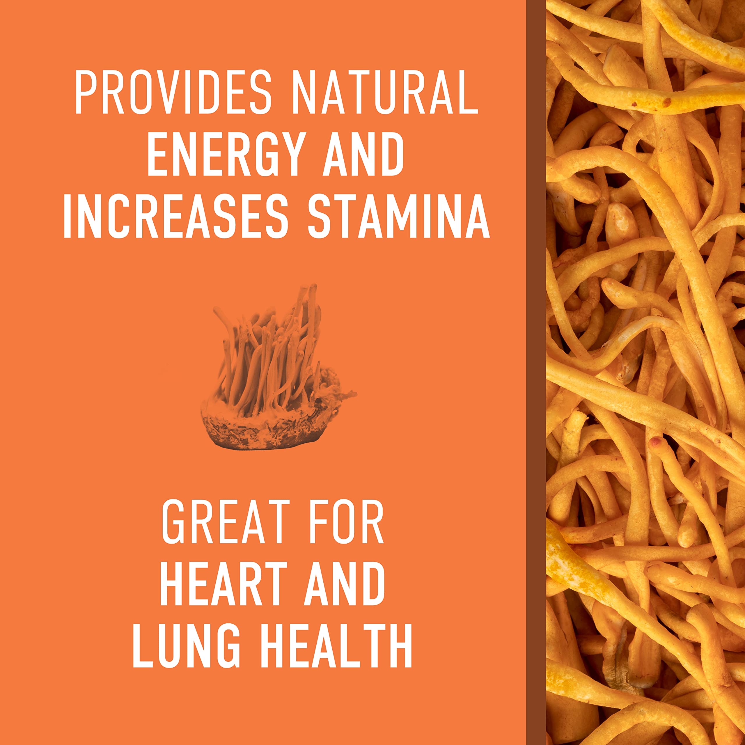cordyceps mushrooms for athletic performance
