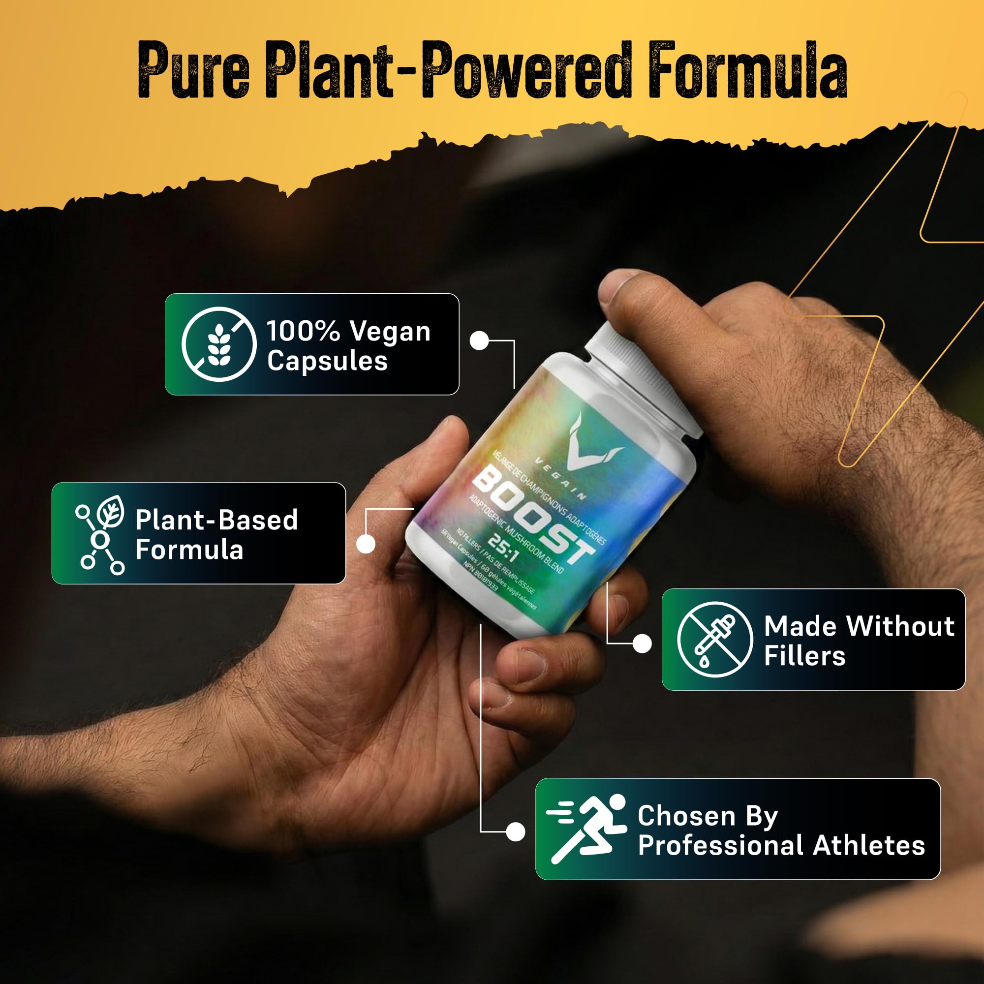 Cordyceps mushrooms for athletic performance