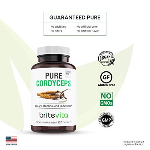 cordyceps mushrooms for athletic performance