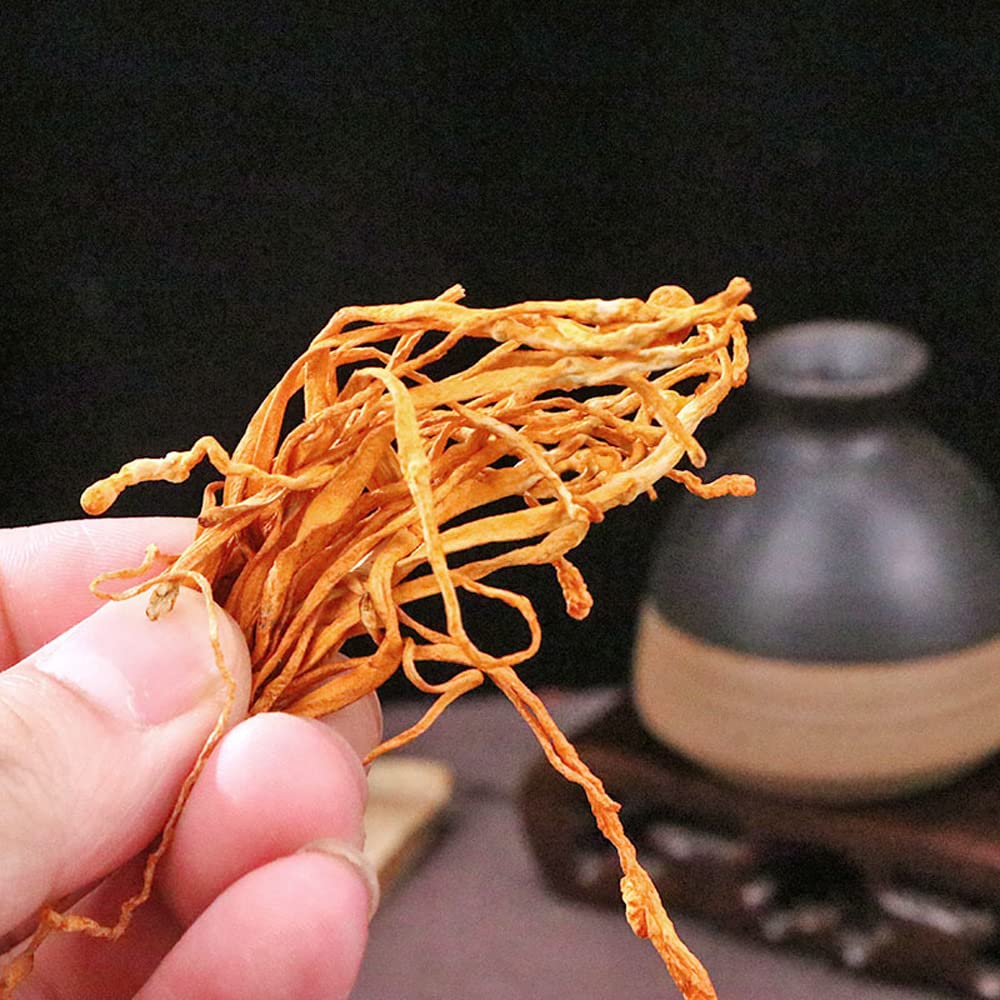 Cordyceps mushrooms for athletic performance