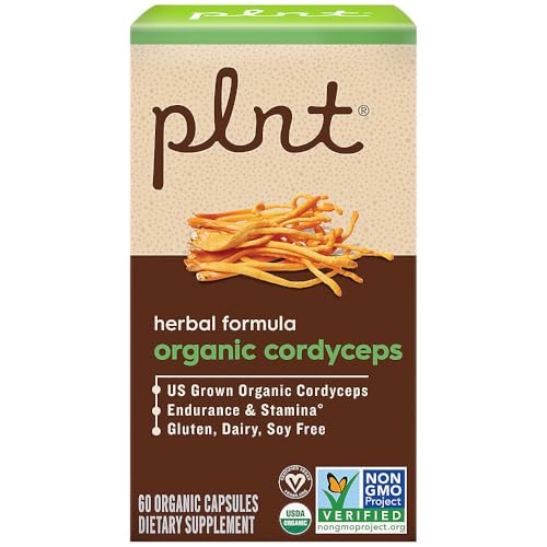 cordyceps mushrooms for better focus