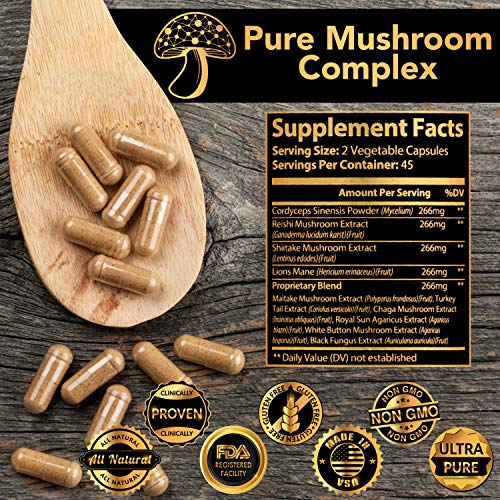 Cordyceps mushrooms for energy boost