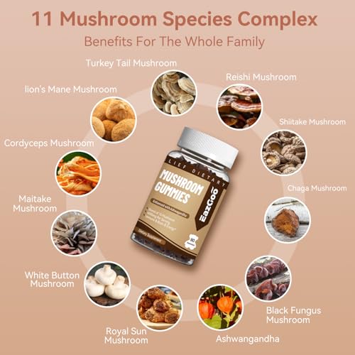 cordyceps mushrooms for energy boost