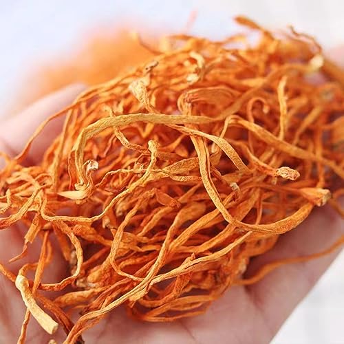 Cordyceps mushrooms for energy boost