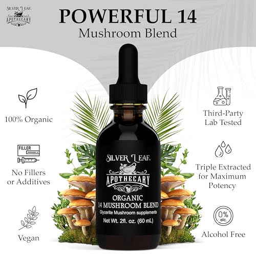 Cordyceps mushrooms for energy boost