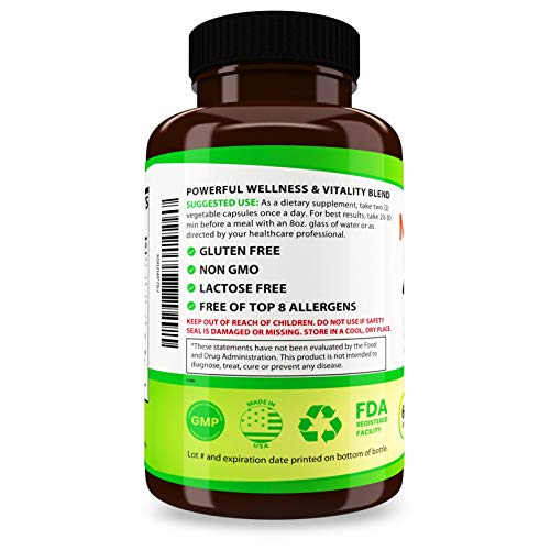 cordyceps mushrooms for energy boost