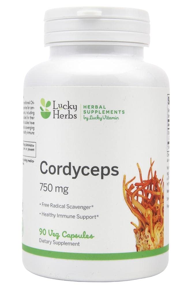 Cordyceps mushrooms for energy boost