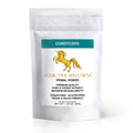 Cordyceps mushrooms for energy boost
